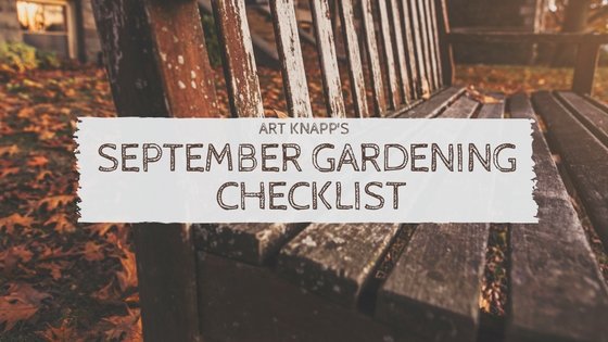 September Gardening Checklist | A Surrey, BC Fall guide